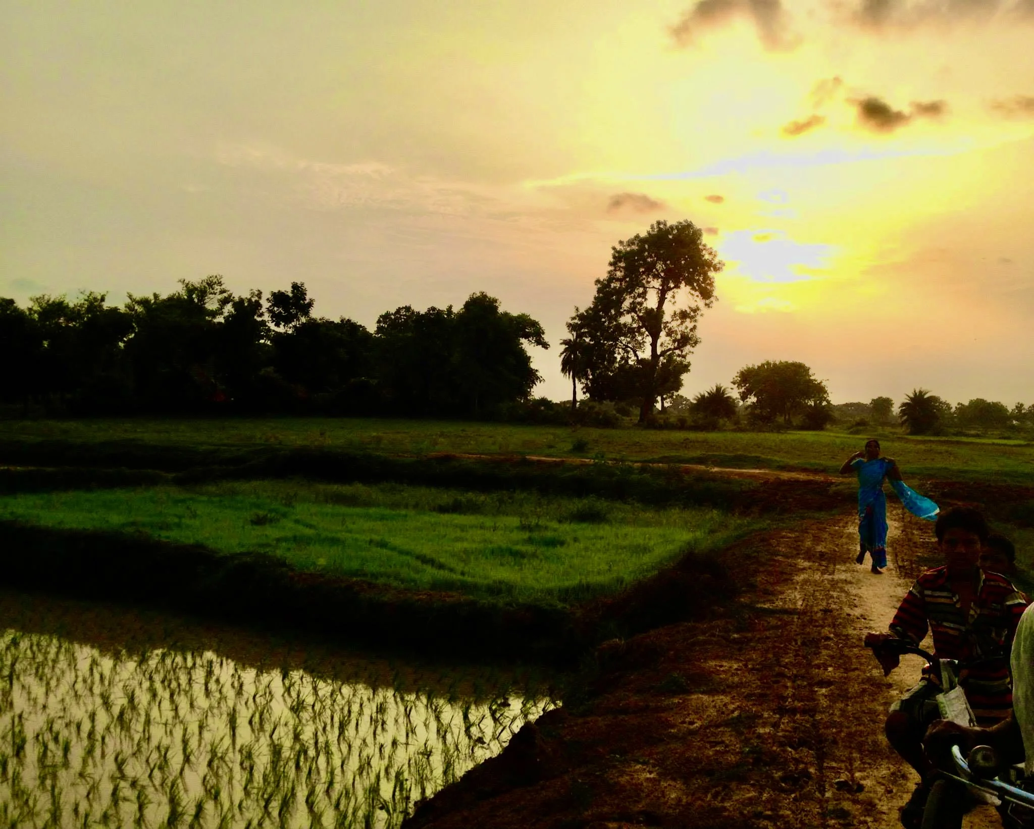 Certificate in Environmental Health — Unite For Sight Global Health ...