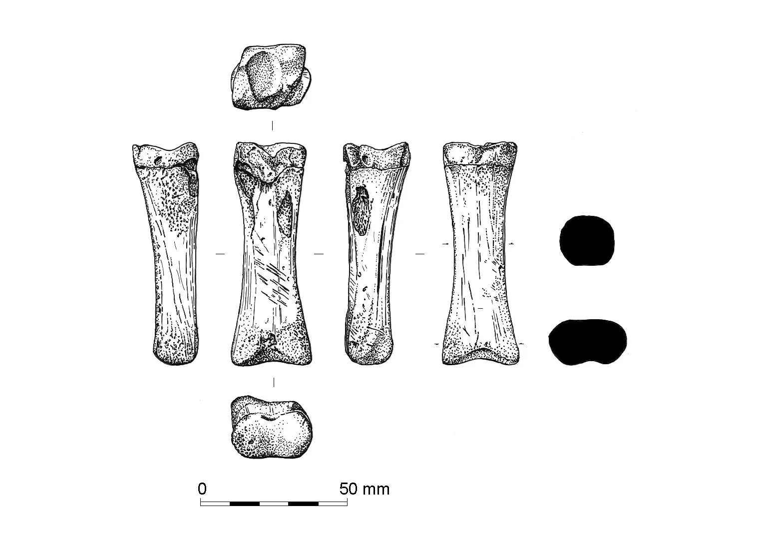 Gallery 1 — Jennie Anderson