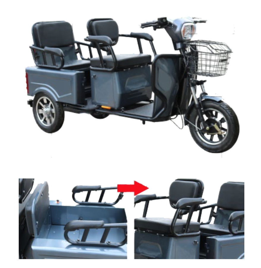 eTrike Models — Pushpak Motors