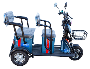 eTrike Models — Pushpak Motors