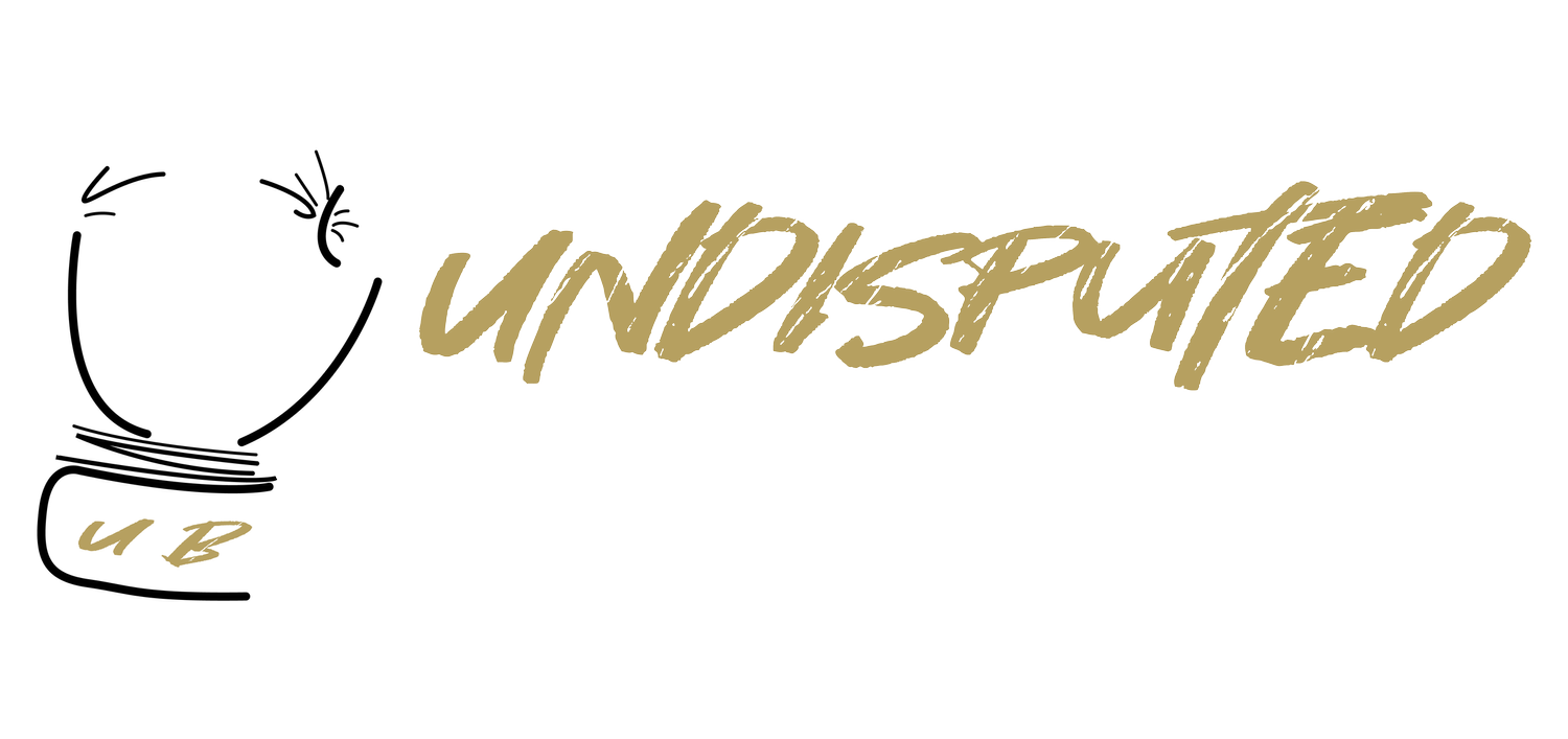 Undisputed Boxing