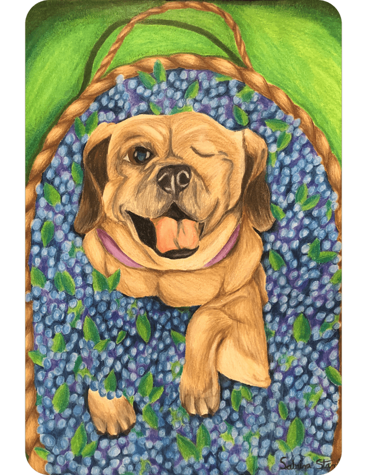 Blueberry Fest Poster Competition — Downtown Marquette