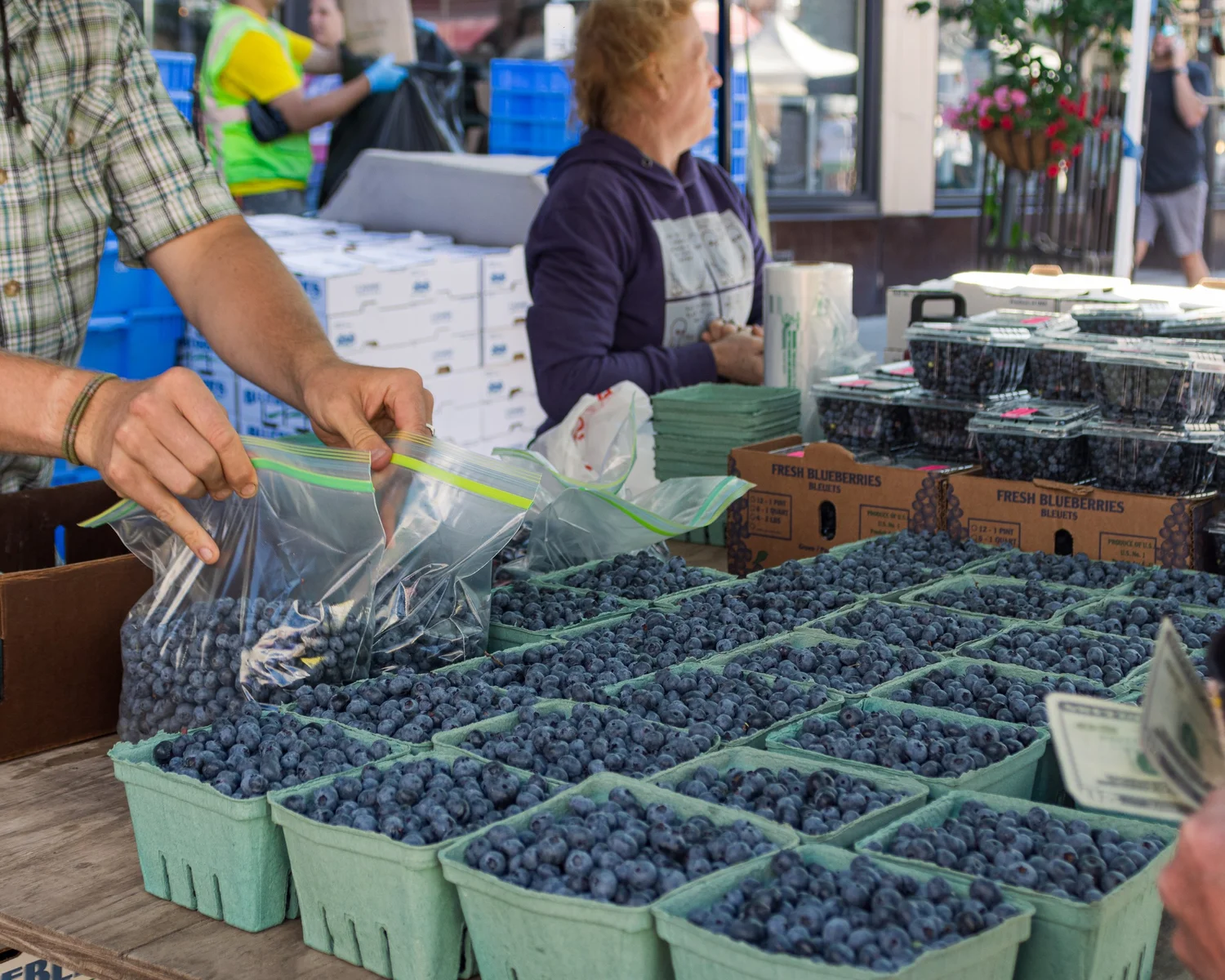 Blueberry Festival — Downtown Marquette