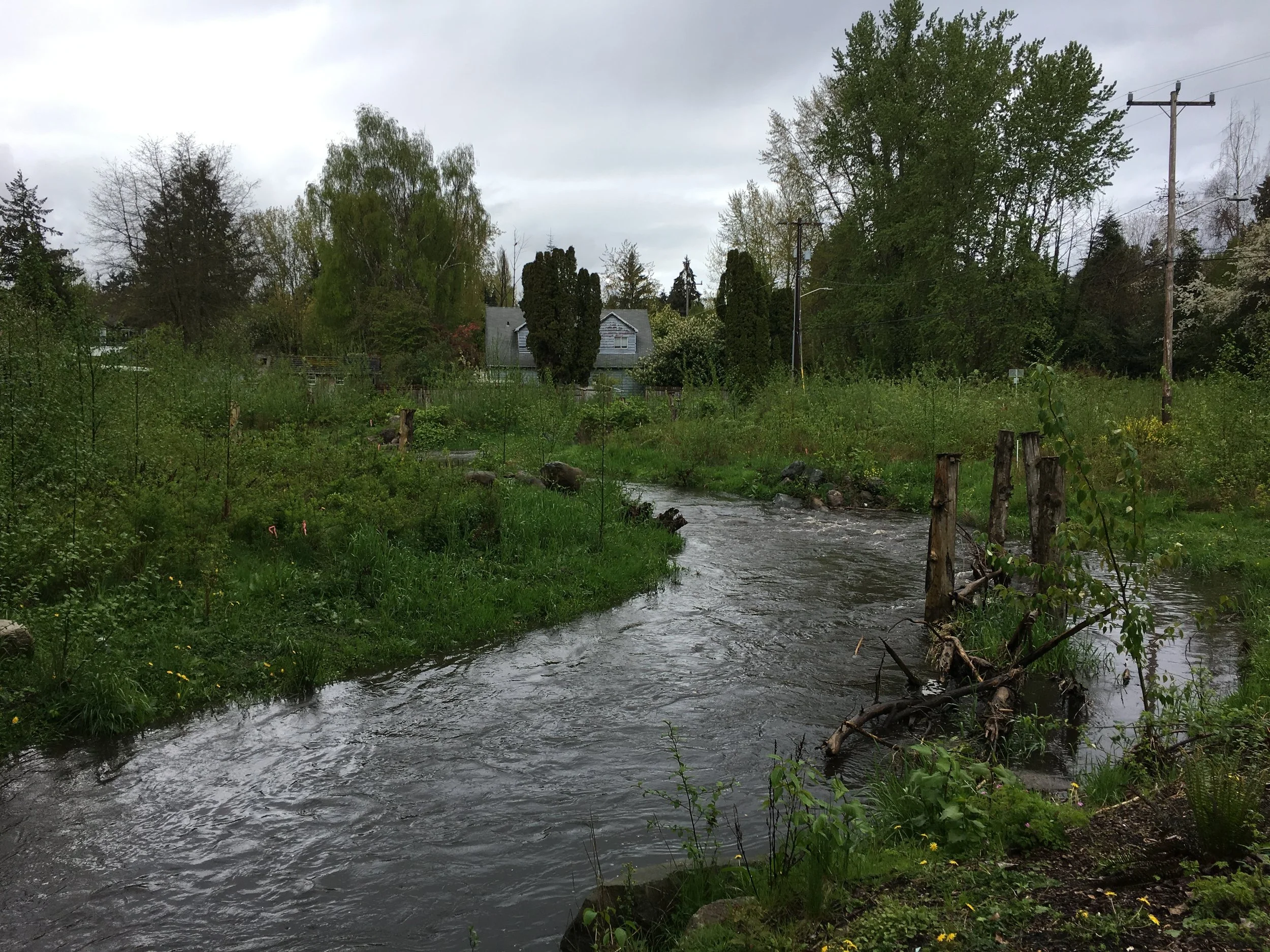 FLOODPLAIN RECONNECTION — Shape Our Water