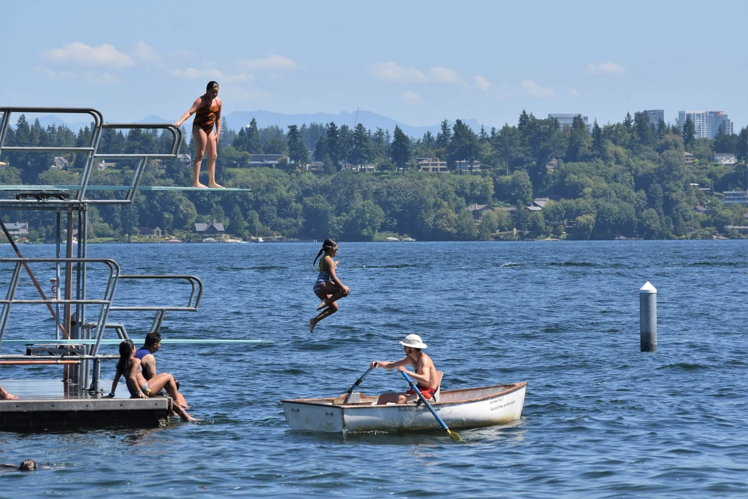 Get Involved — Shape Our Water