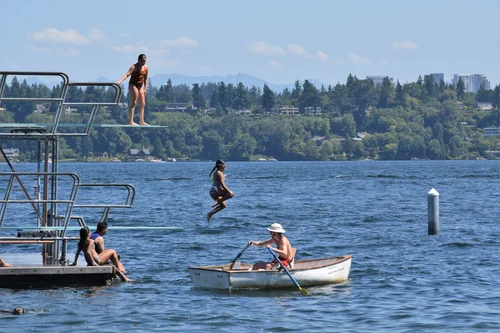 Get Involved — Shape Our Water