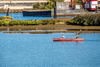 SHORELINE RESTORATION — Shape Our Water Homepage