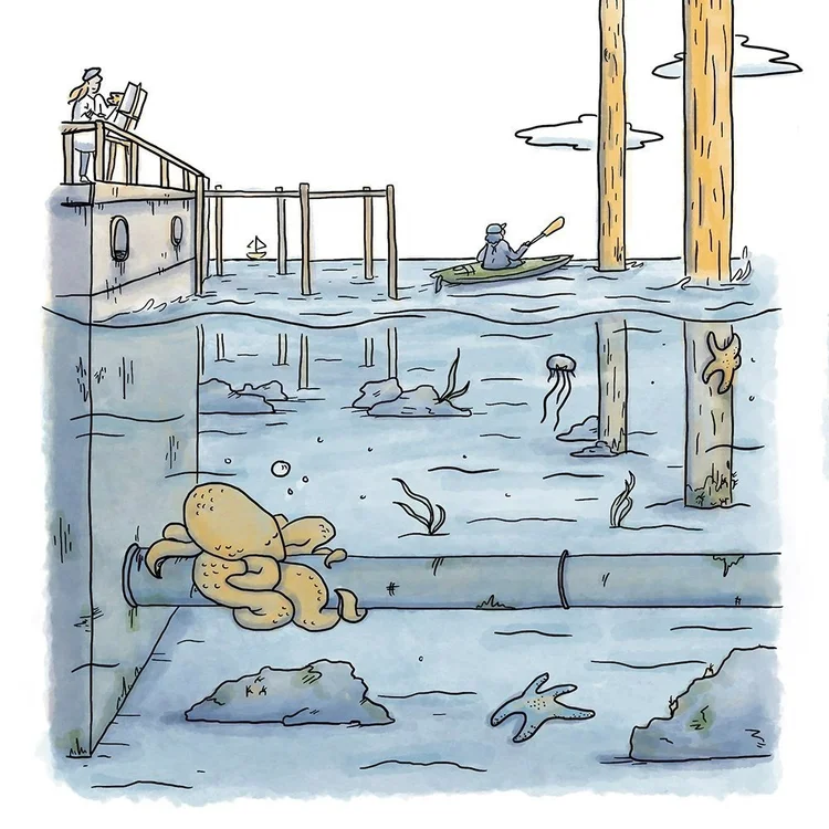 Community Vision — Shape Our Water