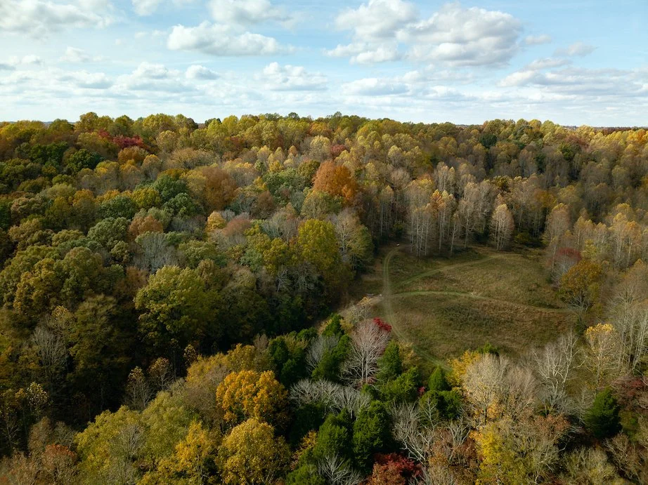 Larkspur Conservation: Tennessee's Conservation and Natural Burial