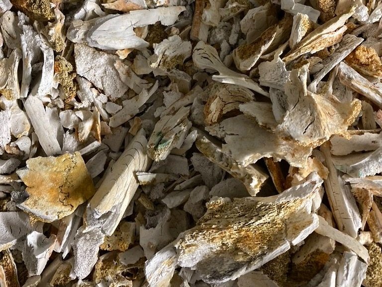 Giving Cremated Remains a New Life Through Science — Larkspur ...