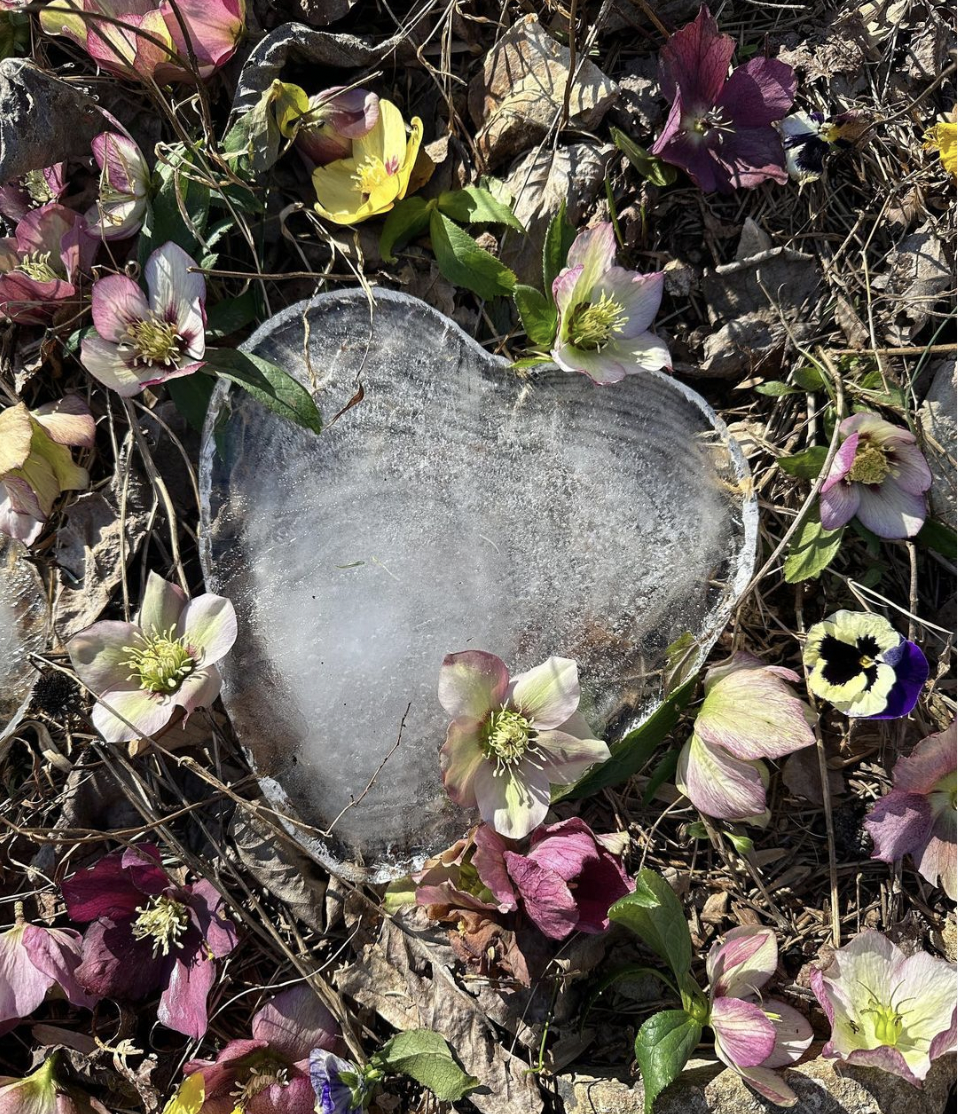 Holiday Rituals and Graveside Memorials — Larkspur Conservation ...