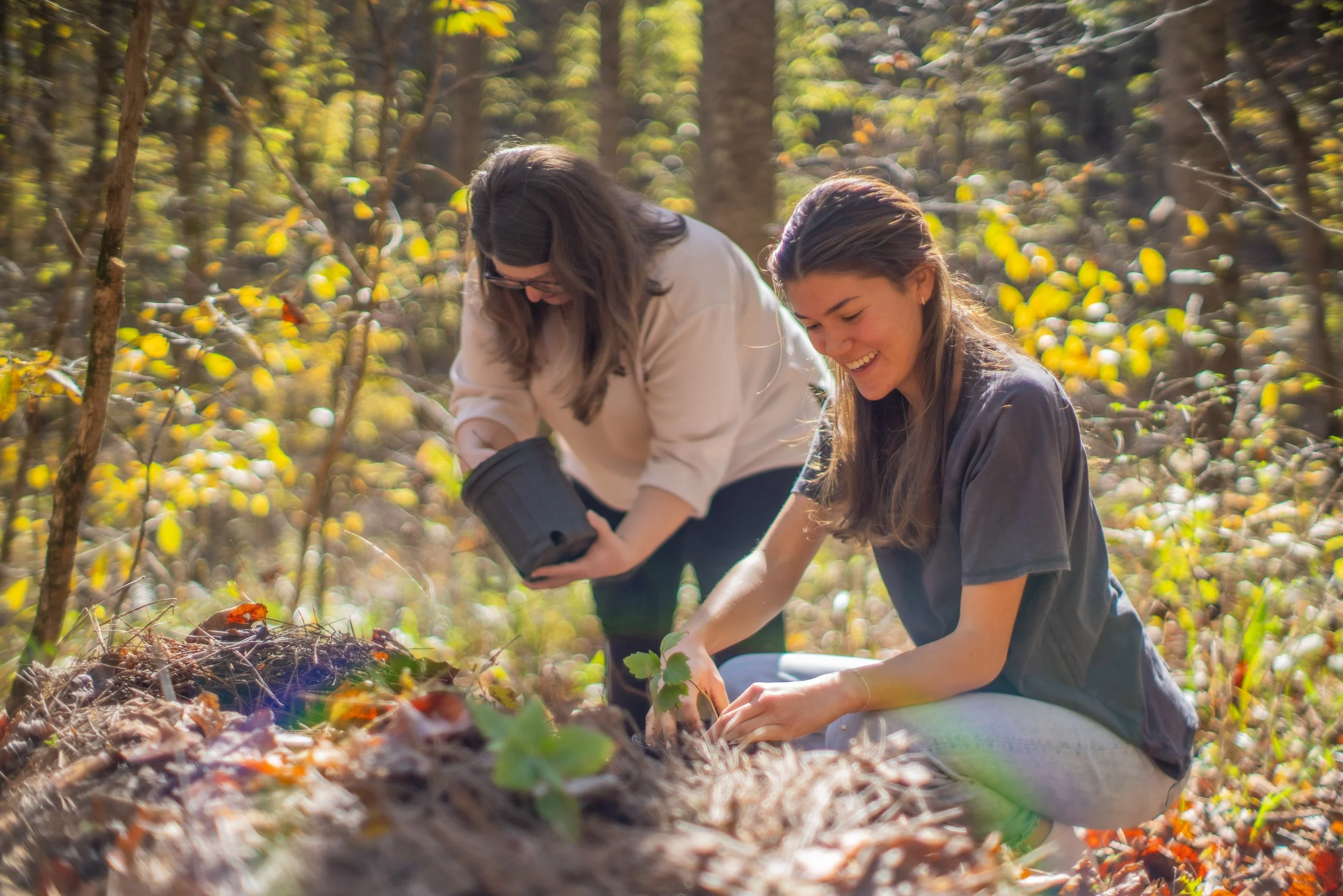Field Notes: A Look at Memorial Planting Day — Larkspur Conservation ...