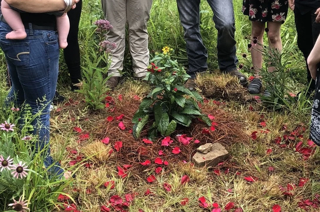 Giving Cremated Remains a New Life Through Science — Larkspur ...