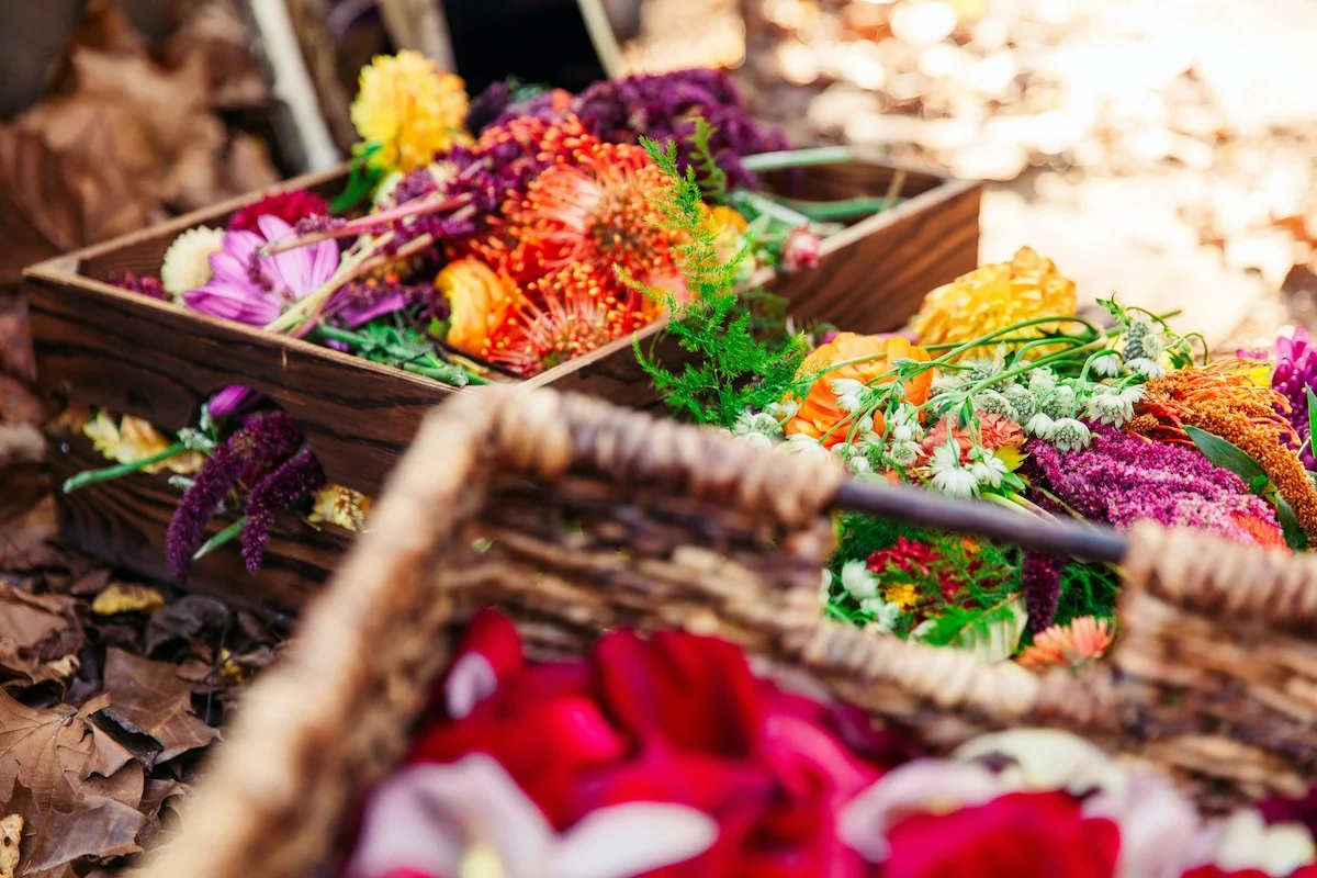 What to Bring to a Natural Burial — Larkspur Conservation: Tennessee's ...