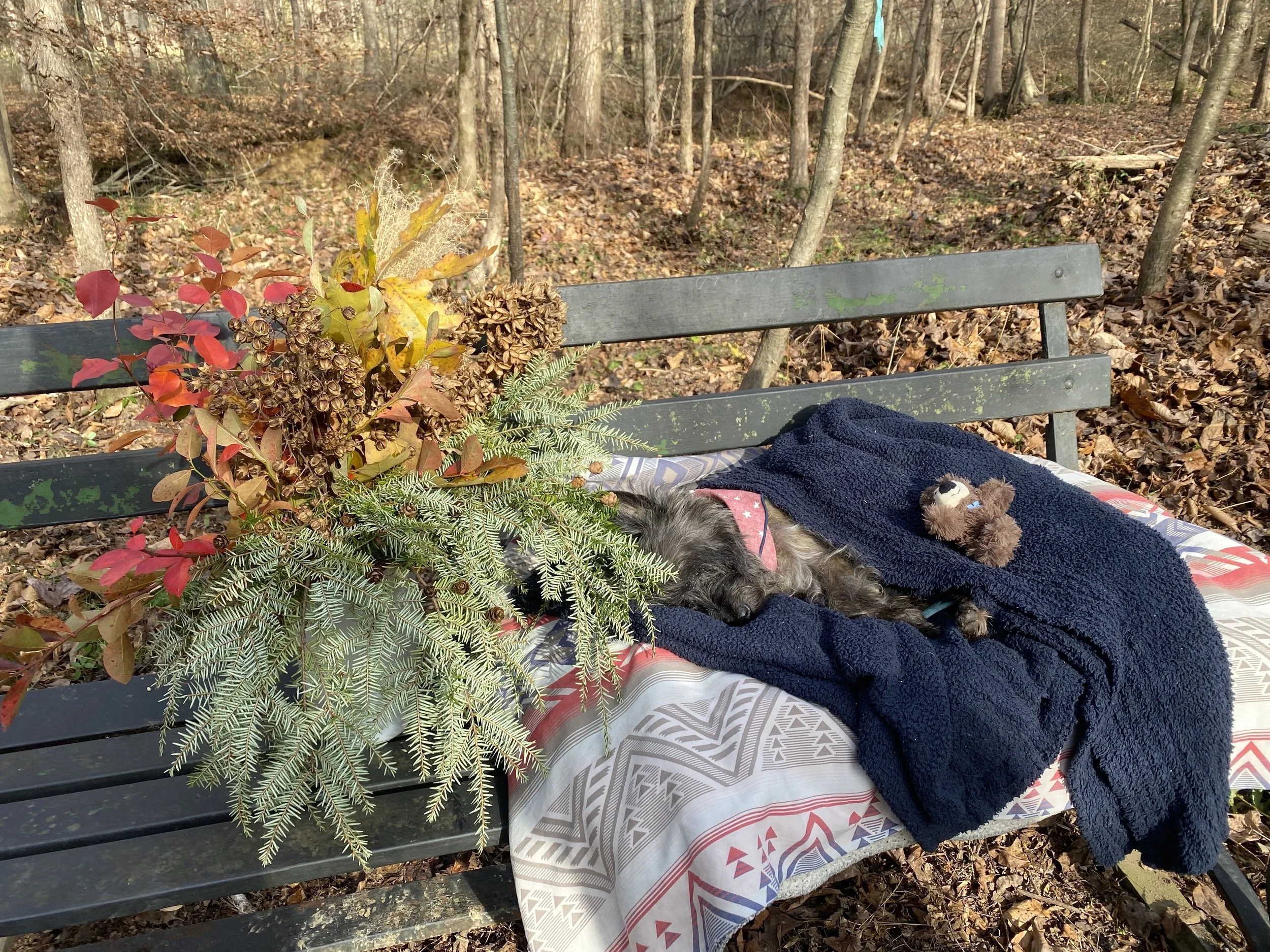 Pet Loss Hurts Too — Larkspur Conservation: Tennessee's Conservation ...