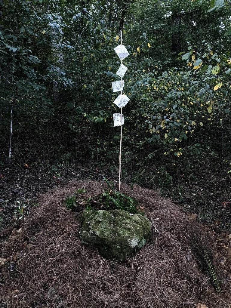 One Family’s Choice for Natural Burial Instead of Cremation — Larkspur ...