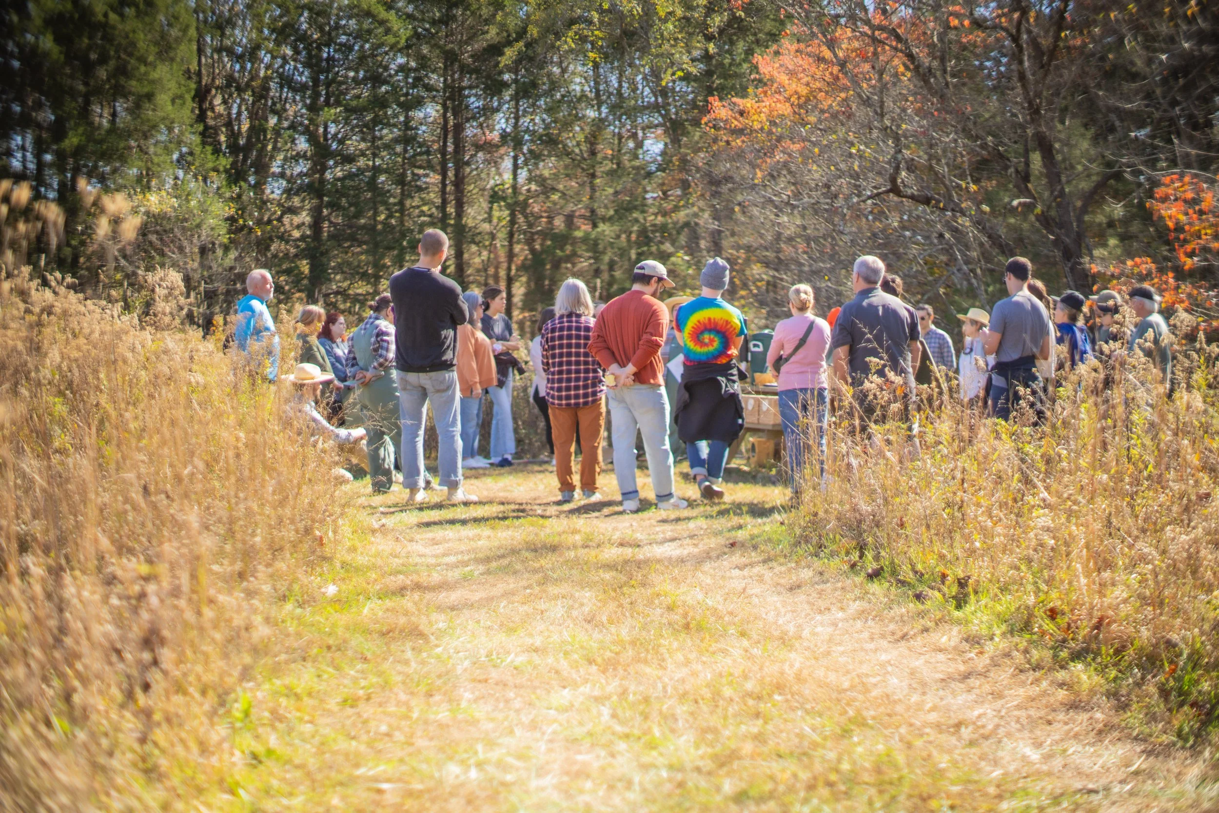 Field Notes: A Look at Memorial Planting Day — Larkspur Conservation ...