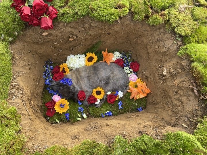 Pet Loss Hurts Too — Larkspur Conservation: Tennessee's Conservation ...