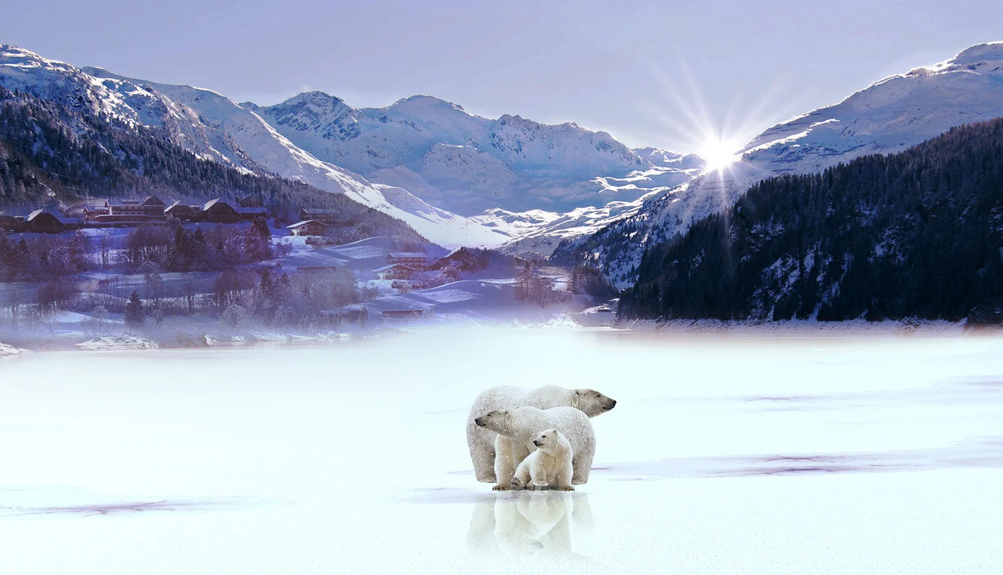 Polar Bear Conservation — PolarSat Inc