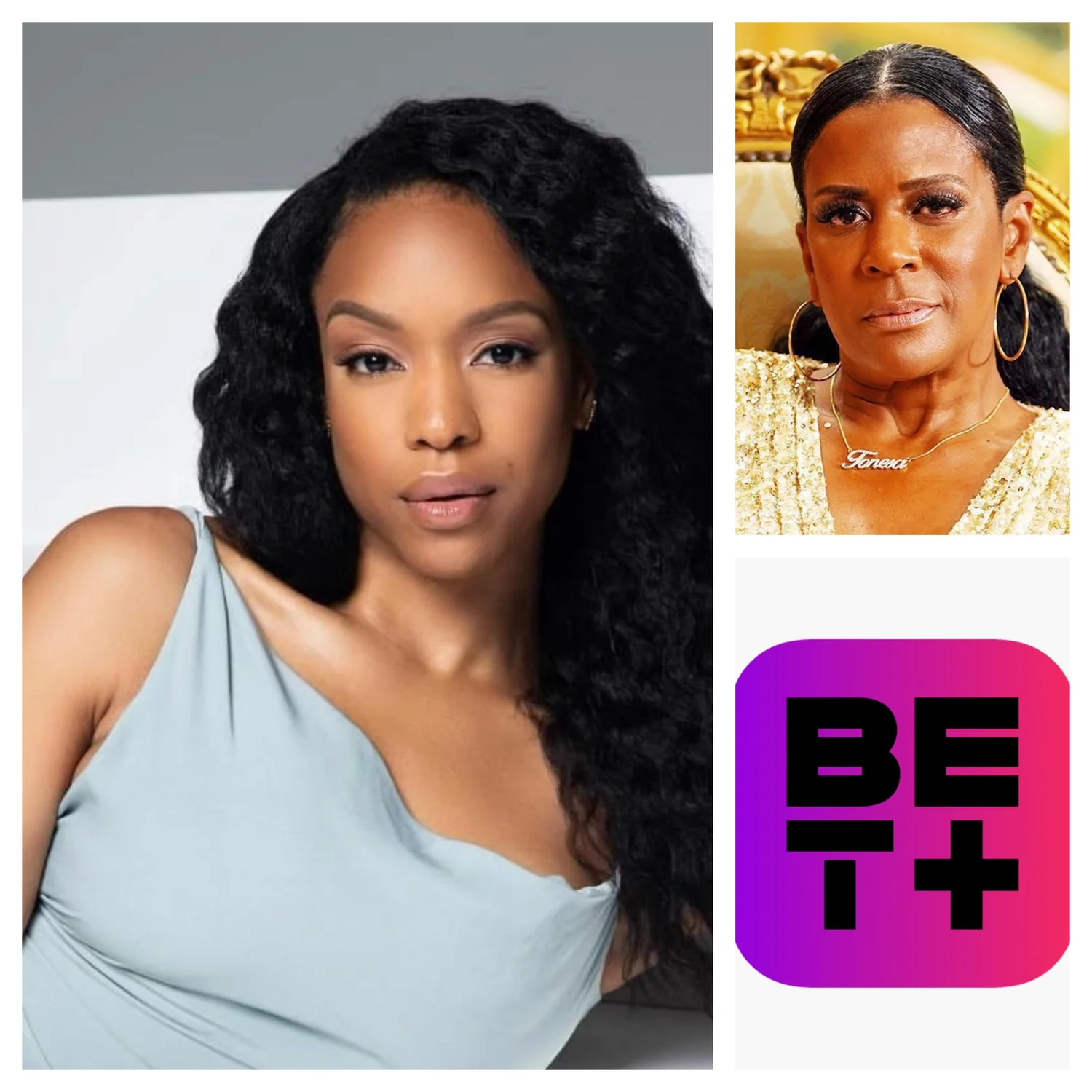 Michelle Mitchenor to star in The First Lady of BMF: The Tonesa Welch ...