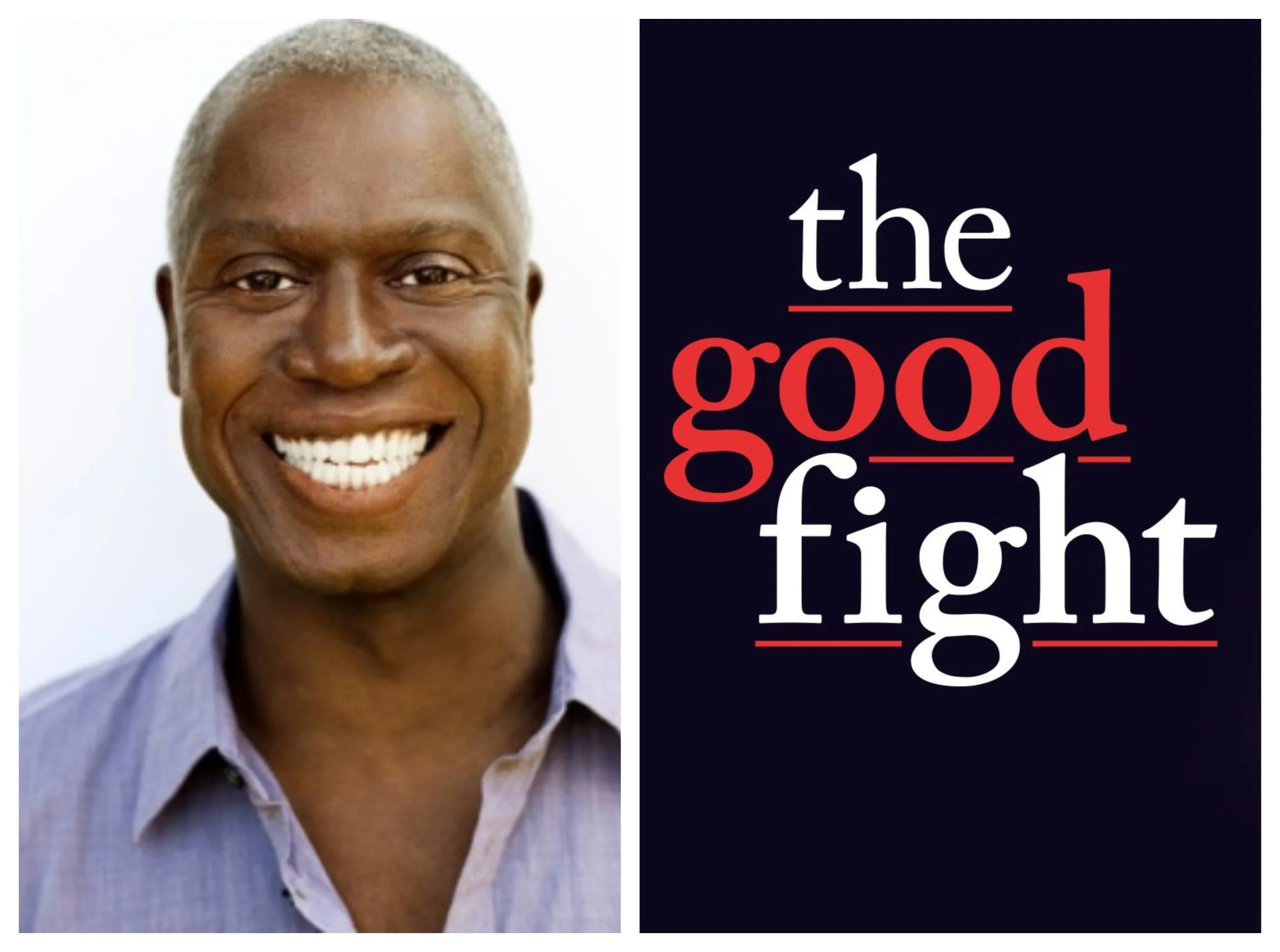André Braugher Joins Season 6 Of The Good Fight — BlackFilmandTV.com