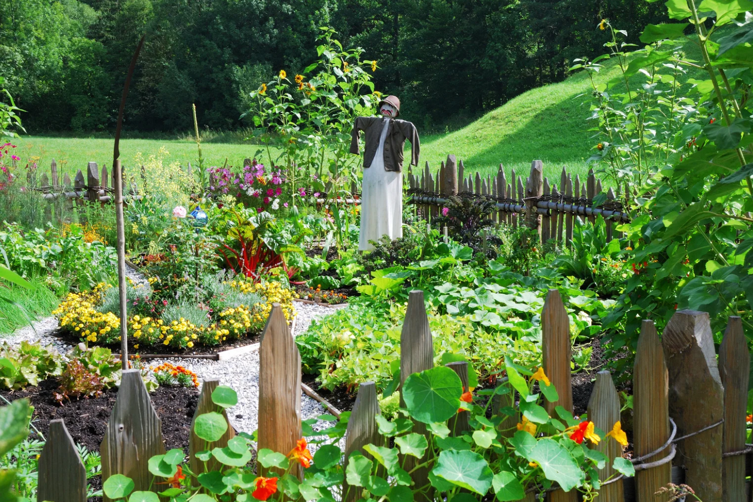 The Surprising Legacy of the Victory Garden — Cathleen R Smith