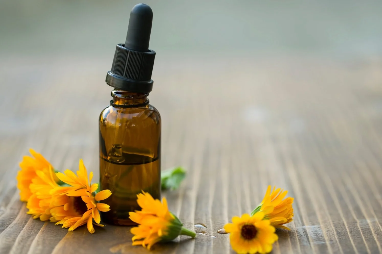Calendula: Flower Power for Your Face — Cathleen R Smith