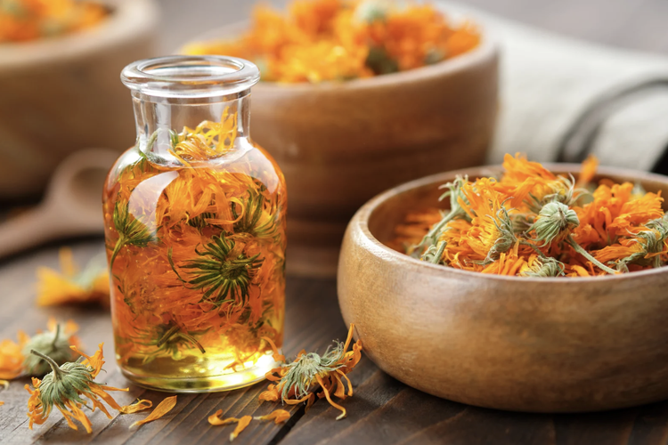 Calendula: Flower Power for Your Face — Cathleen R Smith