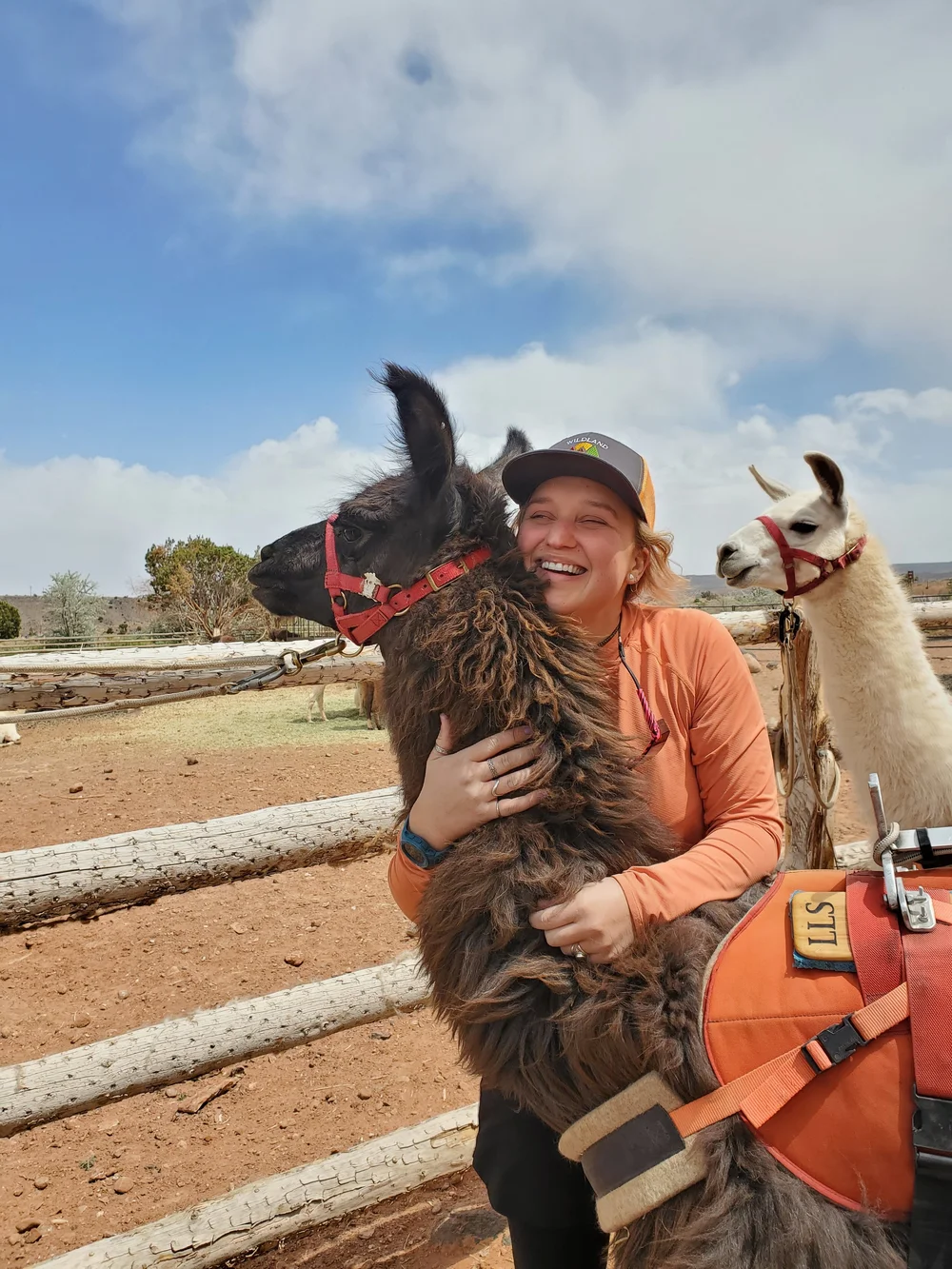 Five Reasons to Hike with a Llama — OUTDOOR MAVENS