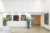Professional Art Services ∖ Creativity Explored