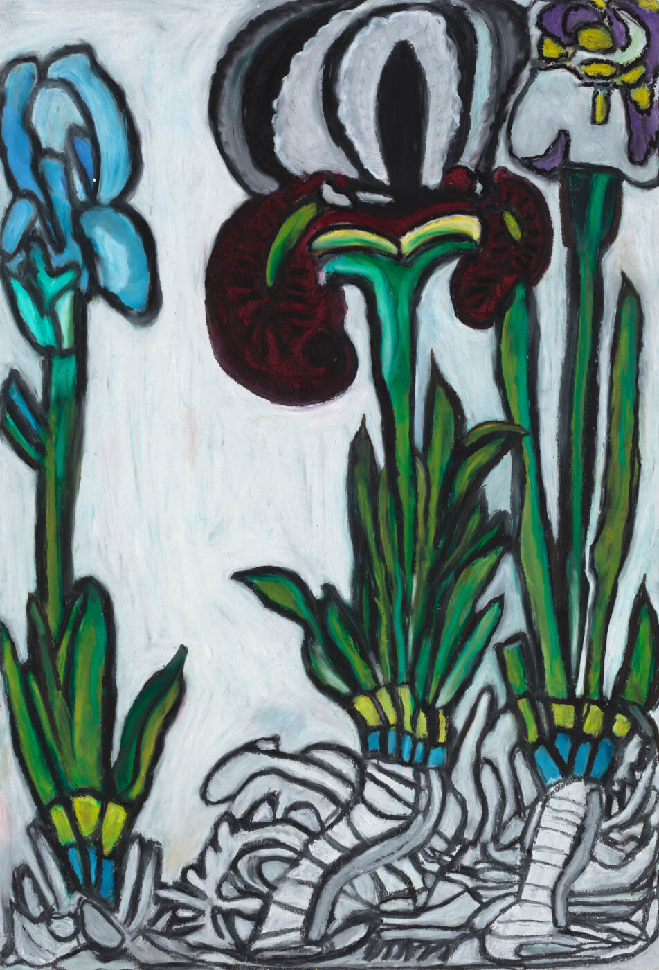 Steven Liu ∖ Creativity Explored