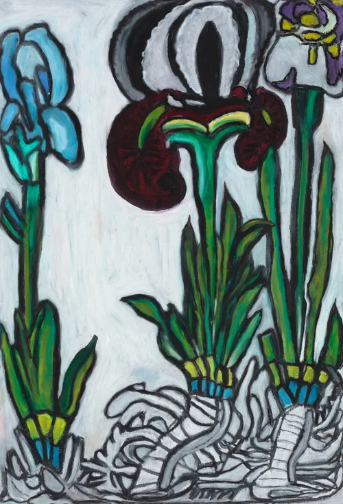 Steven Liu ∖ Creativity Explored