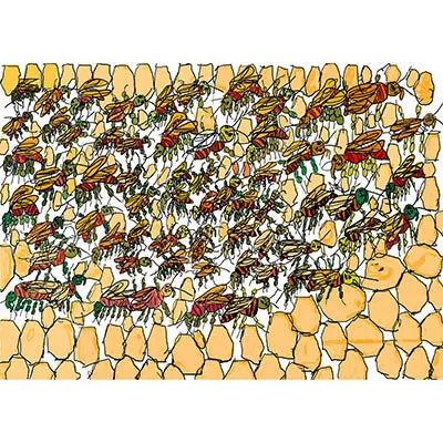 San Francisco Victorians by Kevin Roach - Print ∖ Creativity Explored