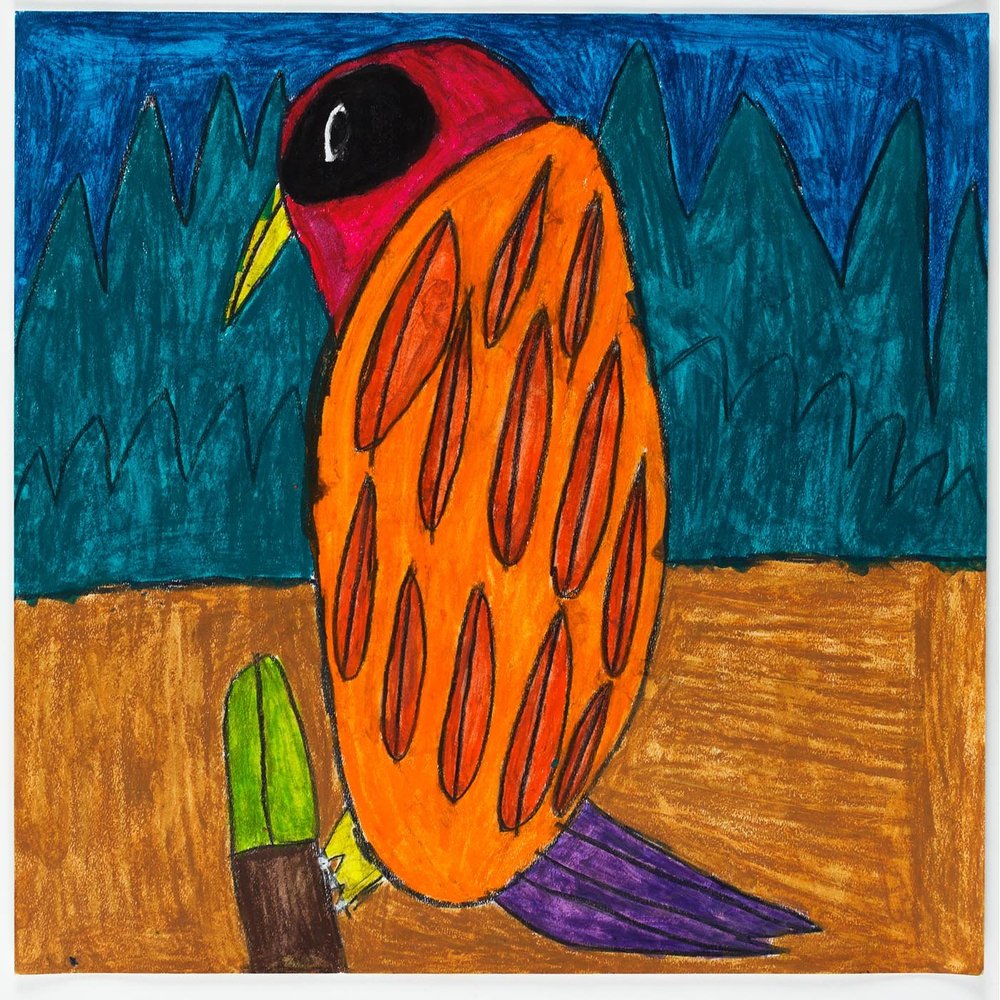 Oil Pastel Drawings Of Birds