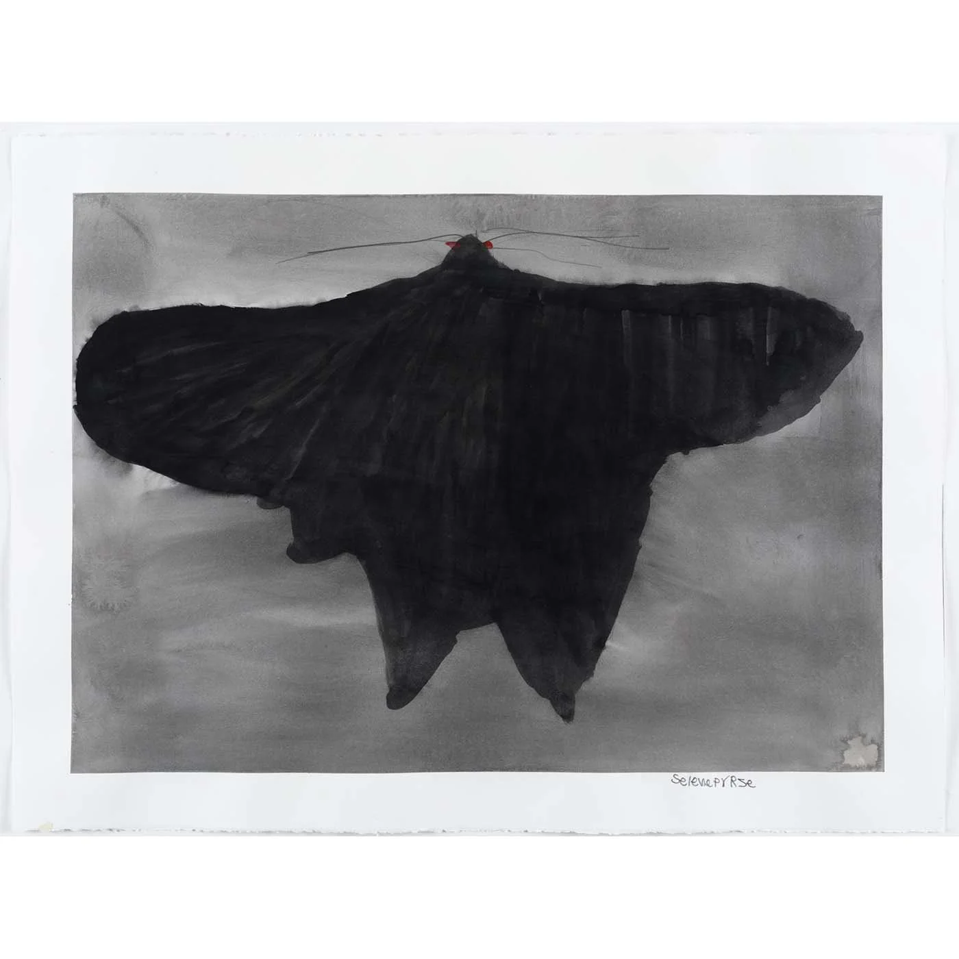 Shop ∖ Creativity Explored