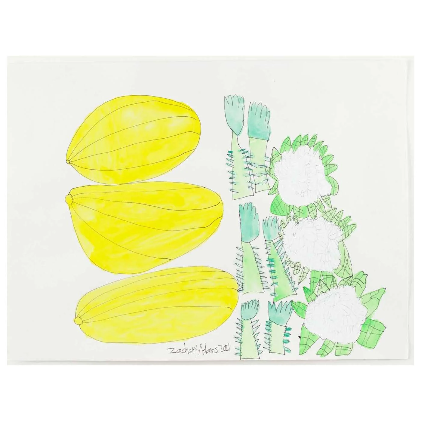 Zachary Adams ∖ Creativity Explored