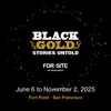Events & Exhibitions ∖ Creativity Explored