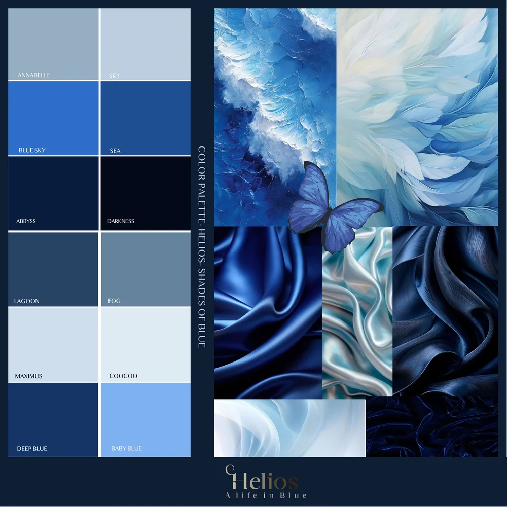Presentation Boards-Diana Soleil Design