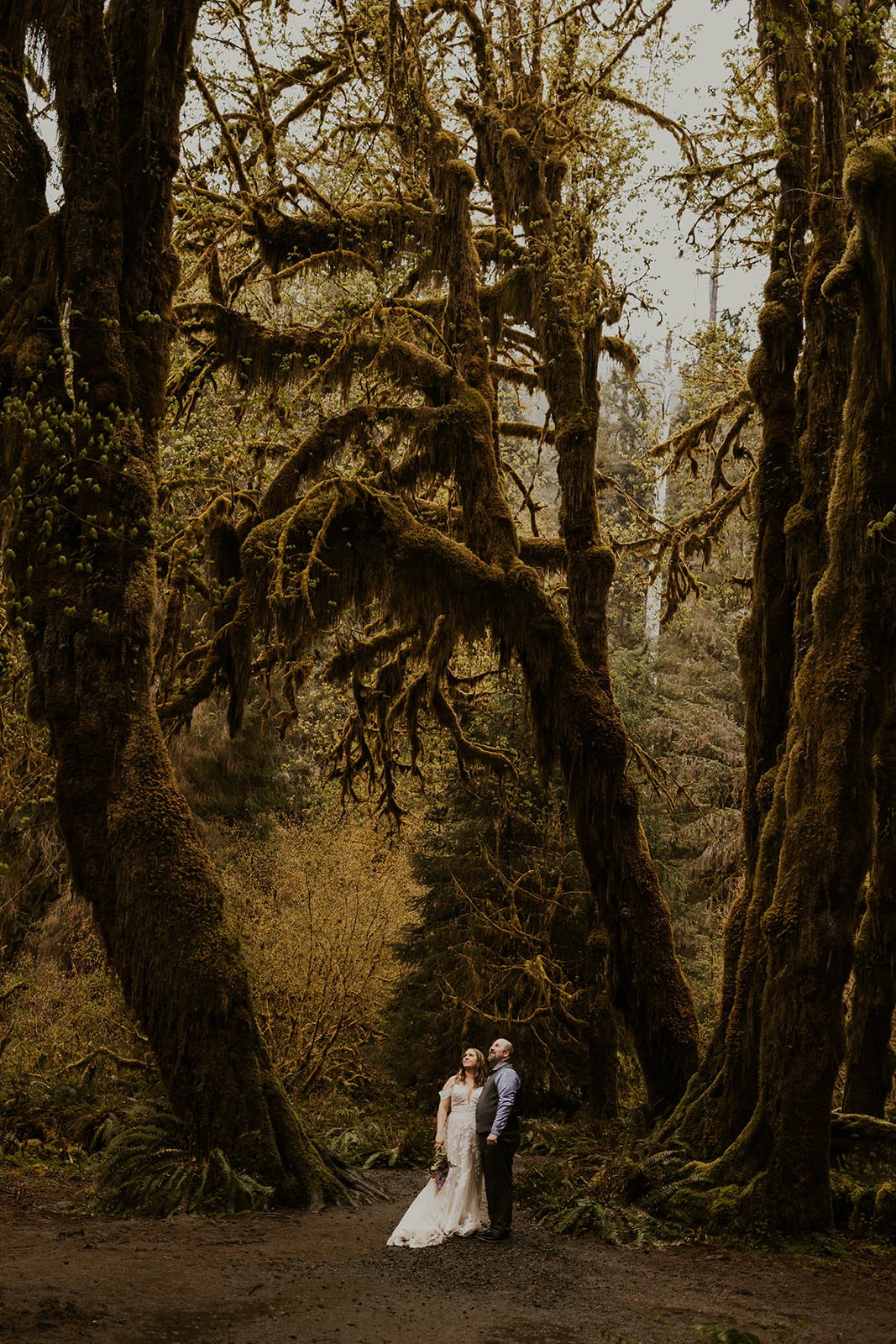 How to Get Married in the Hoh Rainforest | Hall of Mosses Elopement ...