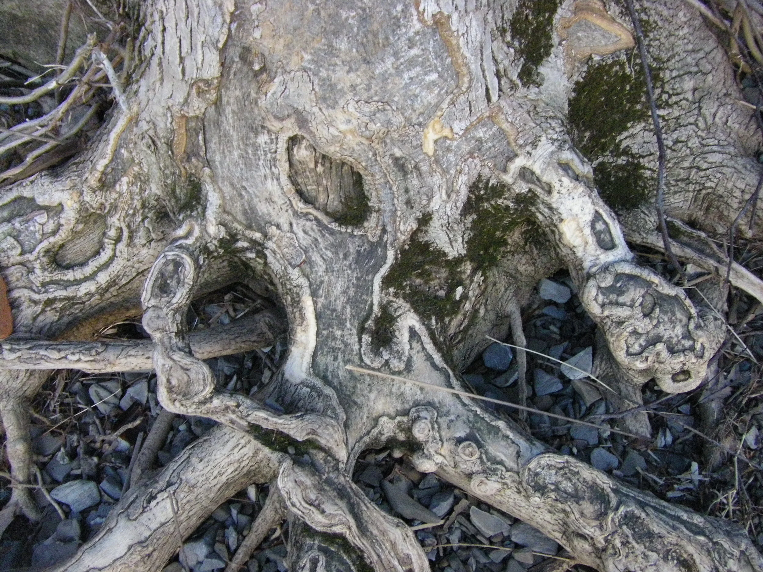 Valense Organizational Architects