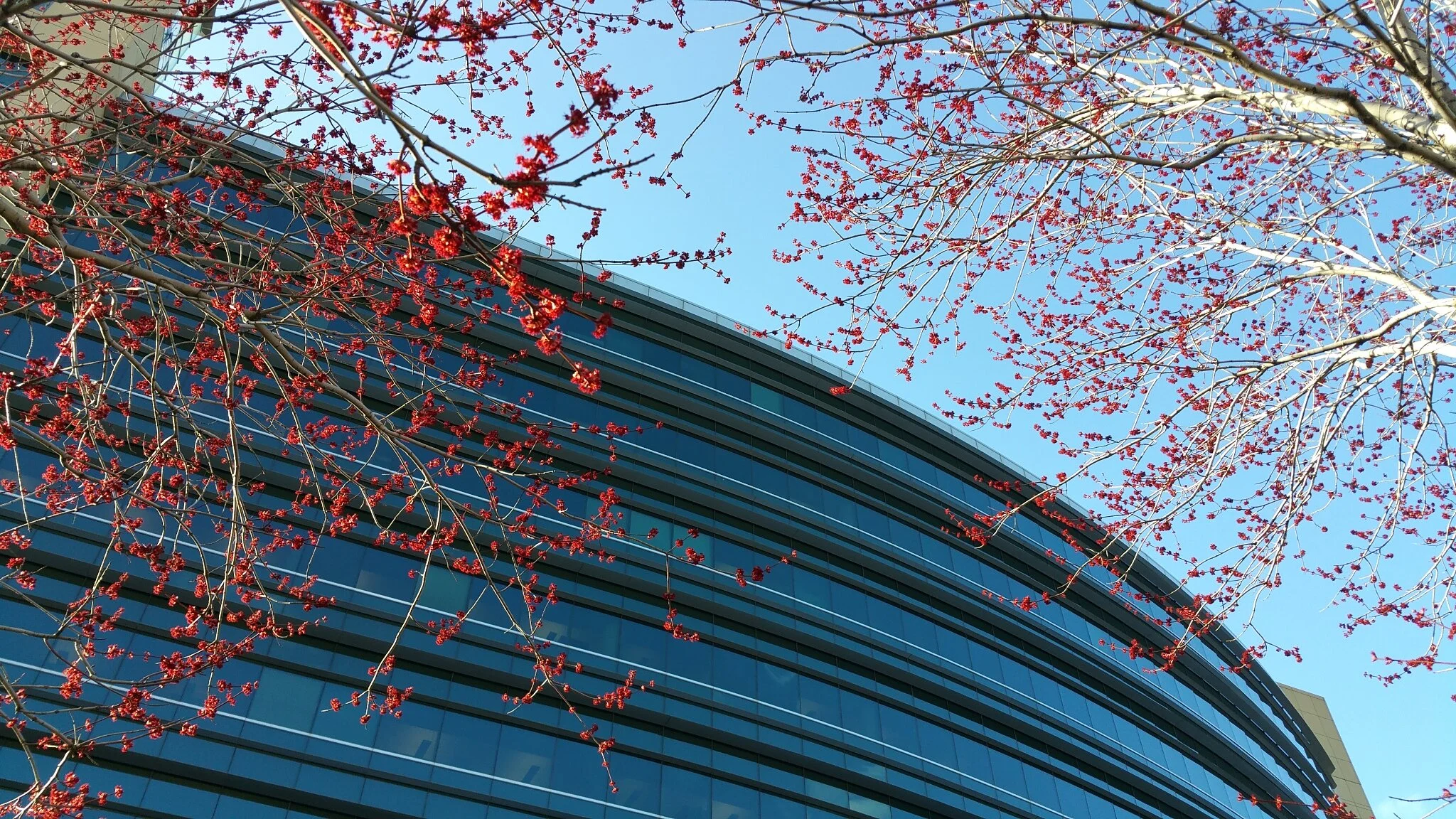 Clients — Valense Organizational Architects