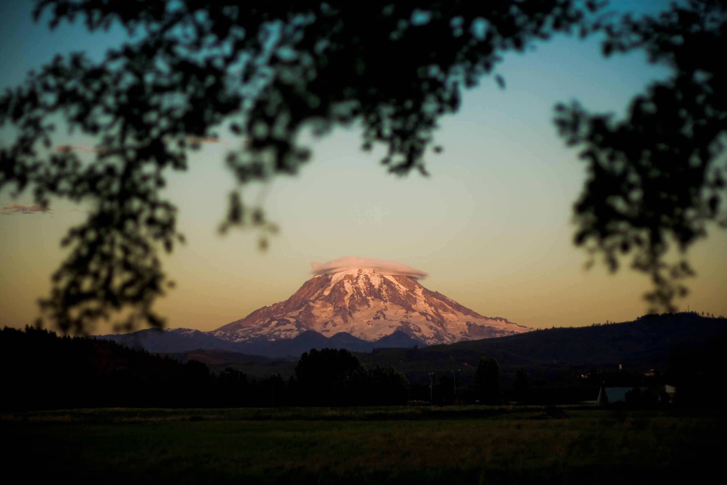 Washington Chess Federation