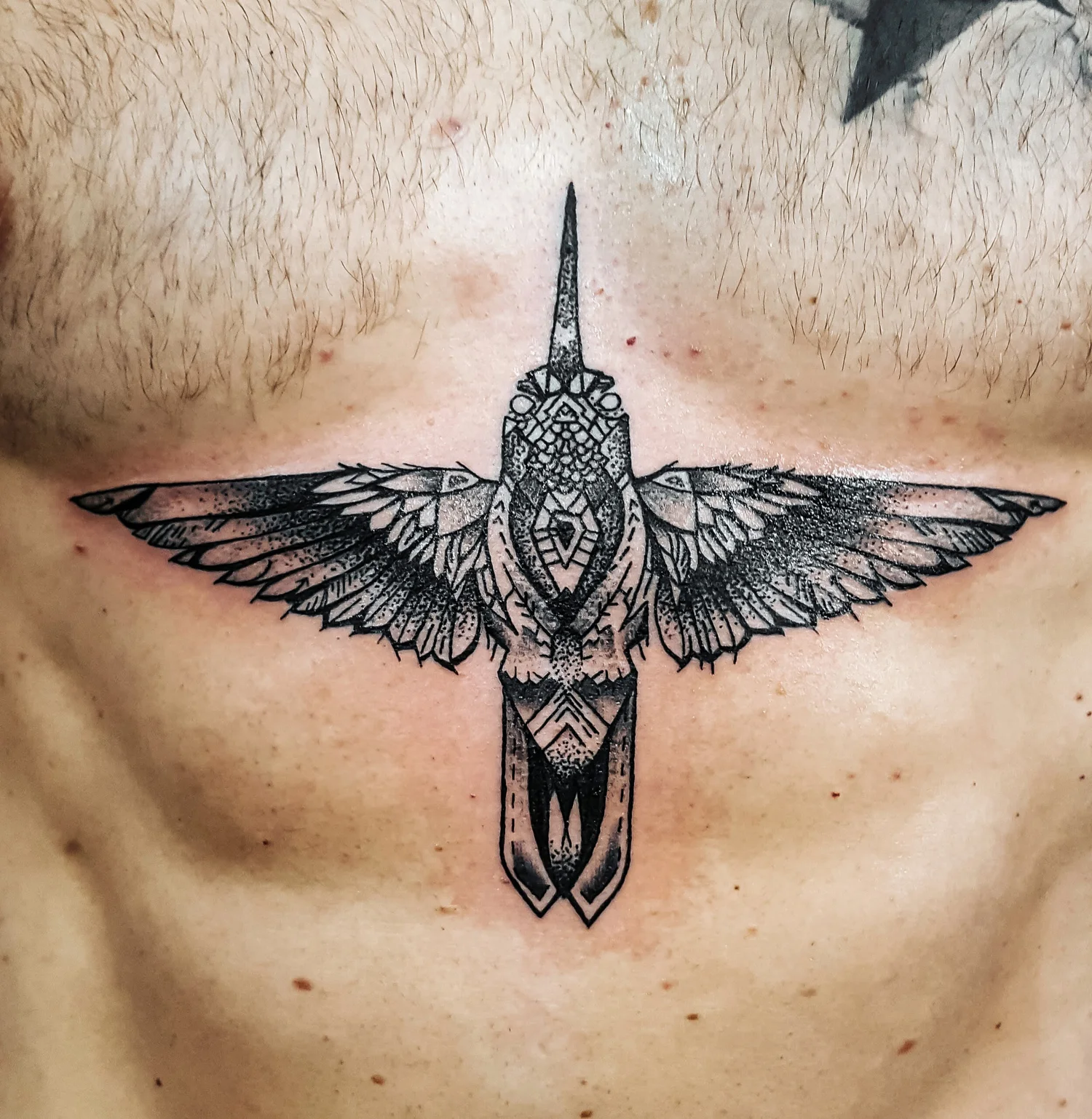 Hawk Tattoo On Chest