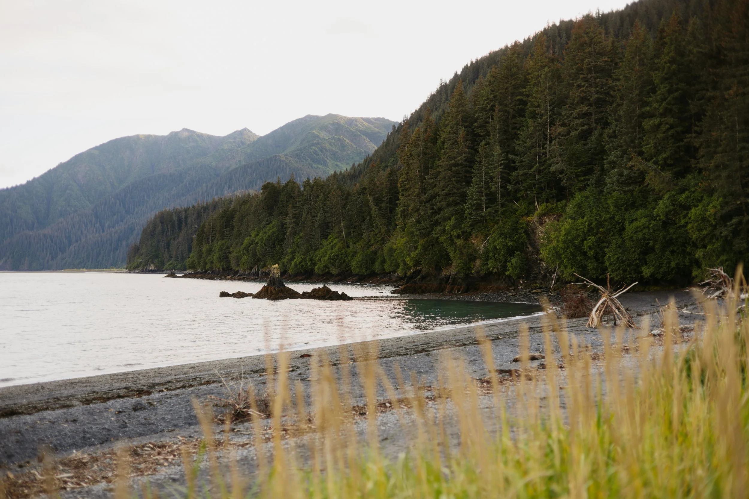 10 Best Things to Do in Seward, Alaska (+ What to Know Before You Go)