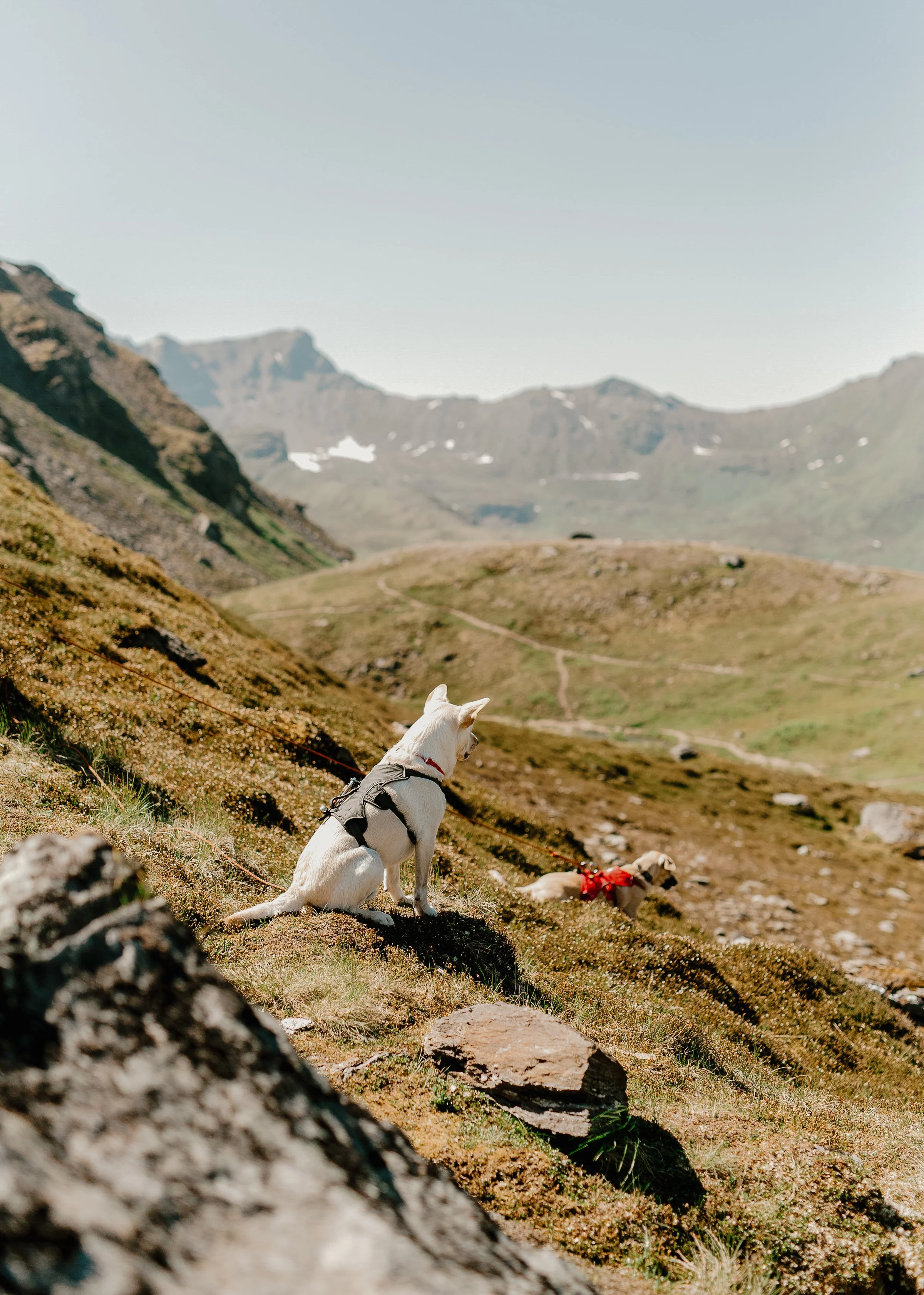 The Ultimate Guide to Hatcher Pass Alaska: Best Things to Do (+Travel ...