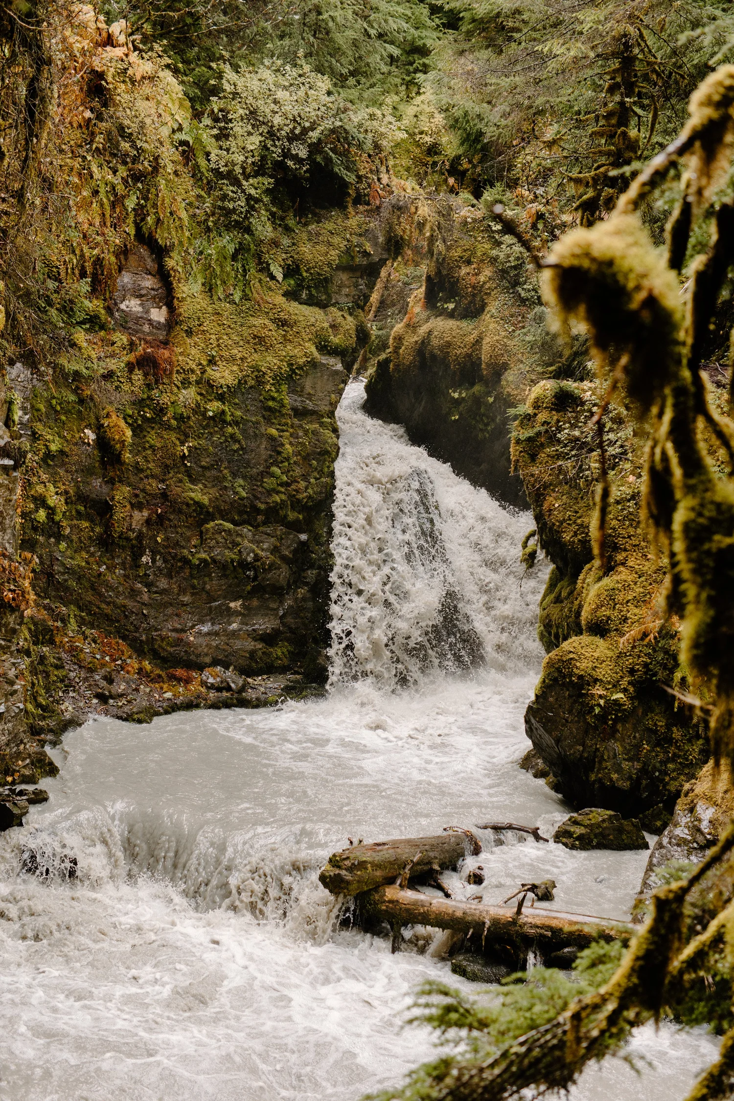 5 Easy Hikes with Stunning Views near Anchorage, Alaska | Trail Guide ...