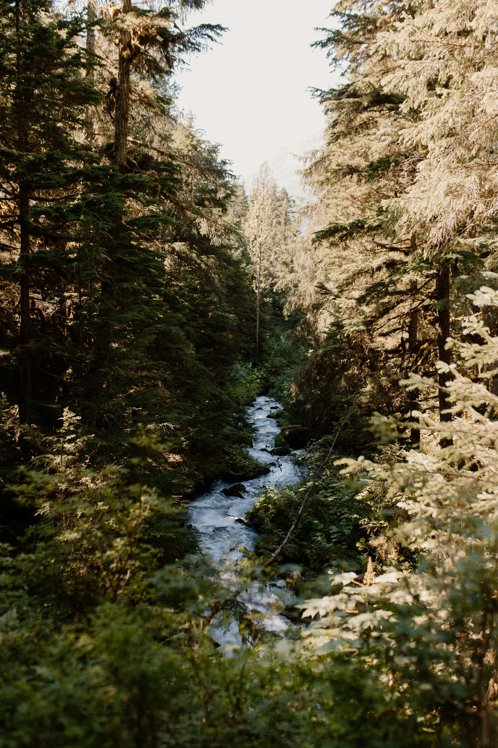 5 Easy Hikes with Stunning Views near Anchorage, Alaska | Trail Guide ...