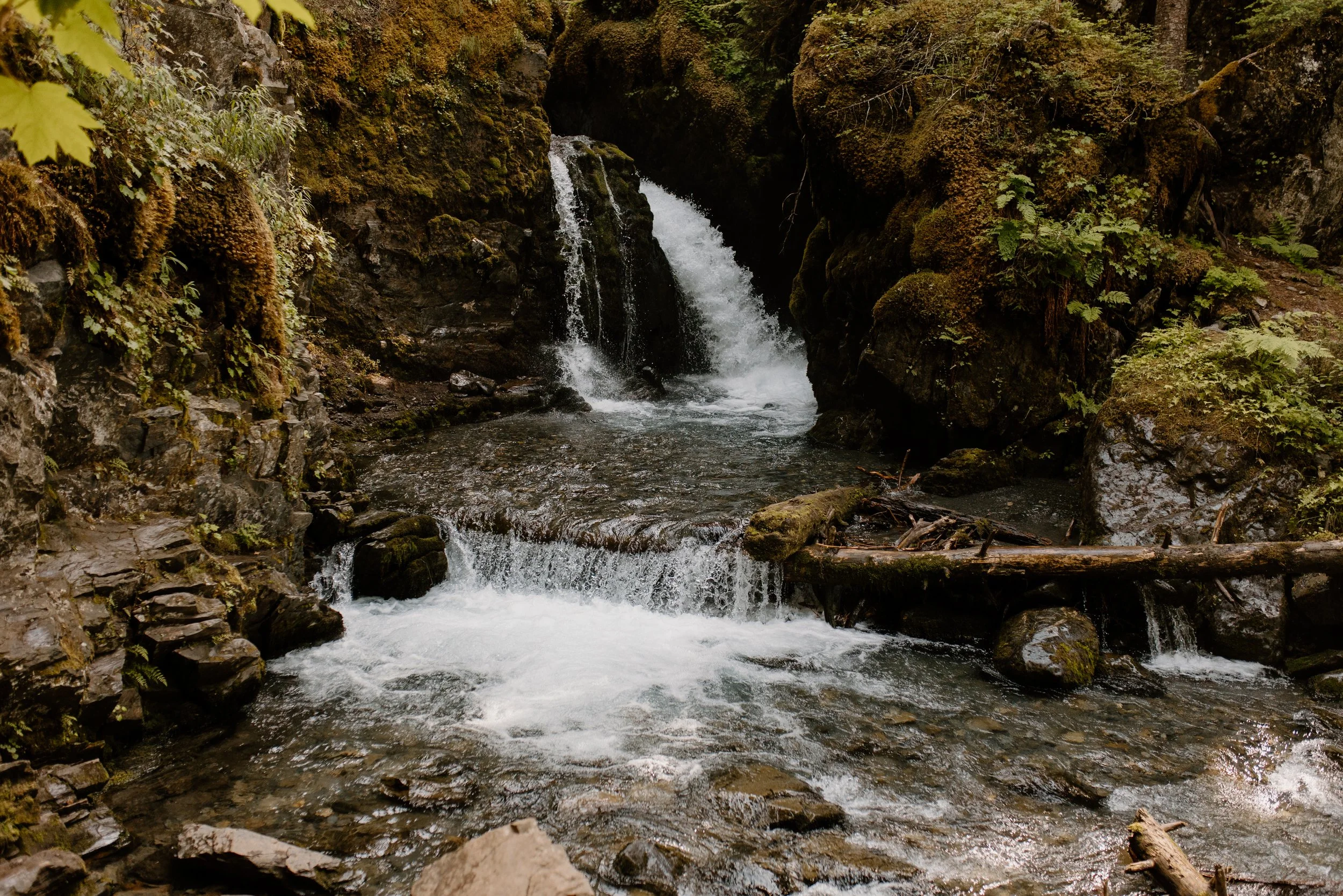 5 Easy Hikes with Stunning Views near Anchorage, Alaska | Trail Guide ...