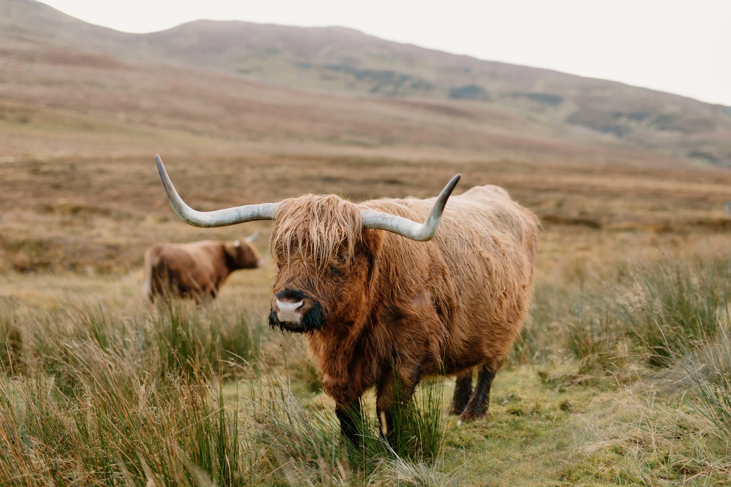 13 of the Best Hidden Gems in Scotland (+ Map) — Wilder With You