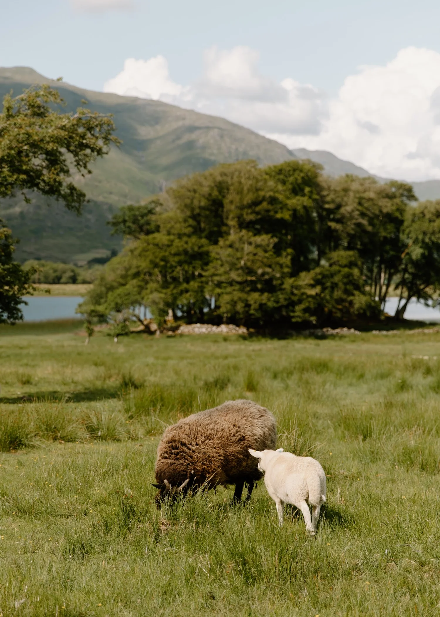 How to Visit the Kilchurn Castle Panorama Viewpoint in Scotland (2026 ...